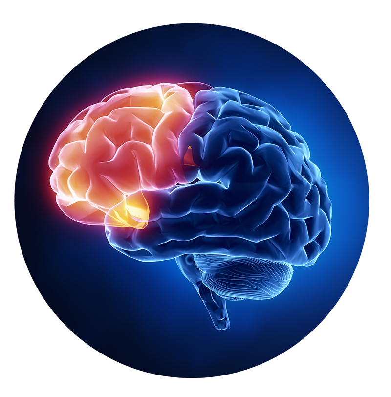 Programs – Tagged "Programs" – NeuroPower Group